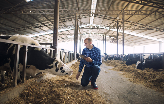Environmental Benefits of Modern Dairy Study Unveiled by AEM, Dairy ...